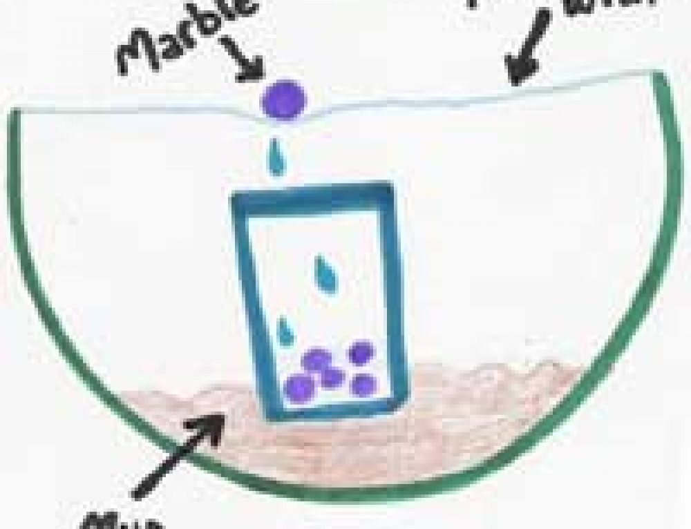 Simple Soil Experiments for Schools - Eco Friendly Kids